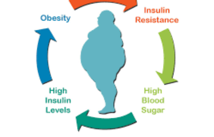 Ever Heard of Diabesity? Here's What You Should Know... - Weight Loss ...